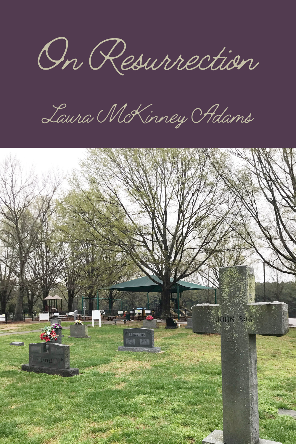 On Resurrection - Laura McKinney Adams
